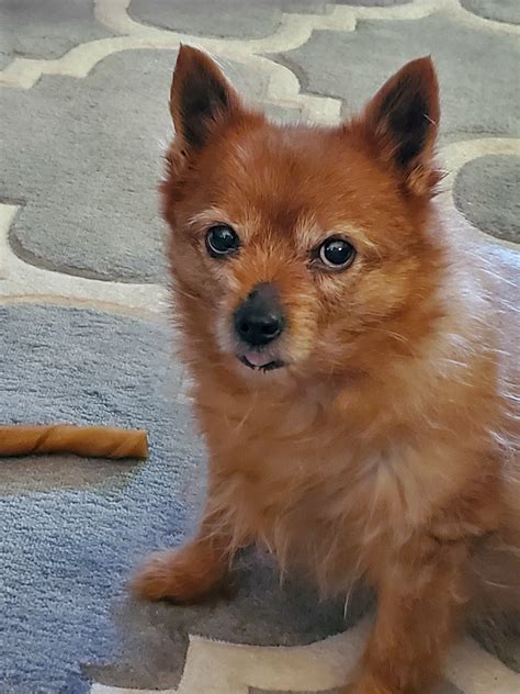 Luna Has Little Moons Showing In Her Eyes Scrolller