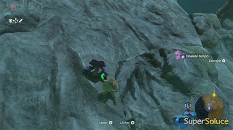 Zelda Botw Great Plateau Shrines Owa Daim 007 Game Of Guides