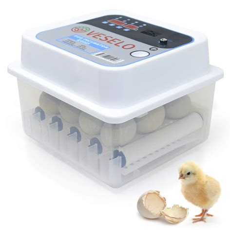 Buy New Automatic 12 Egg Incubator Automatic Egg Turning Humidity Control Automatic