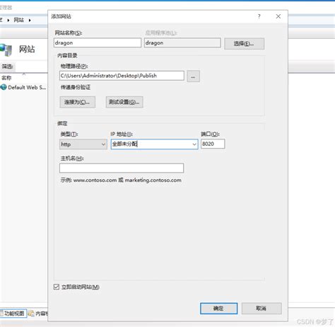 Net6后端webapi部署iis，托管web网站丨阿里云服务器丨sqlserver服务器部署丨发布一个让大家都可以访问的网站dotnet Hosting 6036 Win Csdn博客