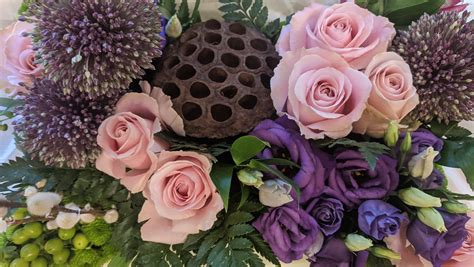 Stem Designs Stem Designs Added A New Photo