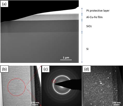 A Stem Micrograph Showing The Layered Structure Of The Sample Download Scientific Diagram