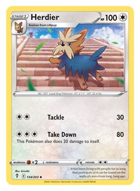 Herdier Trainers Website