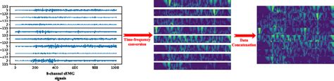 Figure 1 From A Transformer Based Gesture Prediction Model Via Semg Sensor For Human Robot