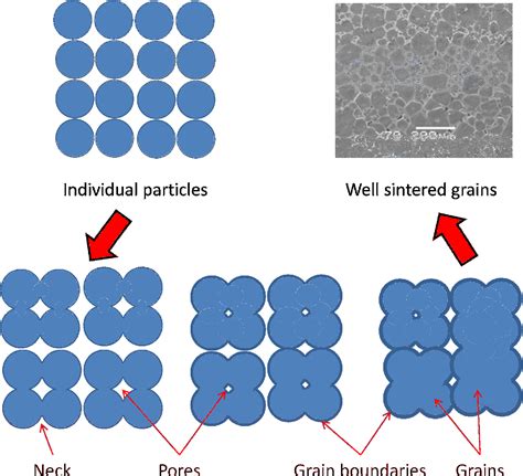 Chemical Control Of The Polymorphic Phase Boundaries In Doped Barium