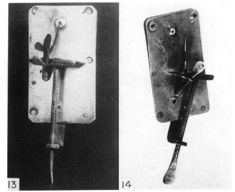 Figure 1 From The Microscopes Of Antoni Van Leeuwenhoek Semantic Scholar