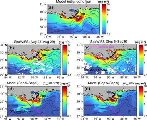 Initial Condition Of Surface Chlorophyll Extracted From A 20 Year Download Scientific Diagram