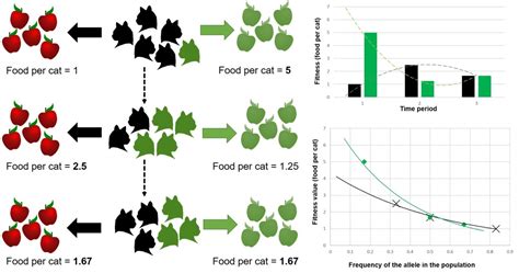 Frequency Dependent Selection The G Cat