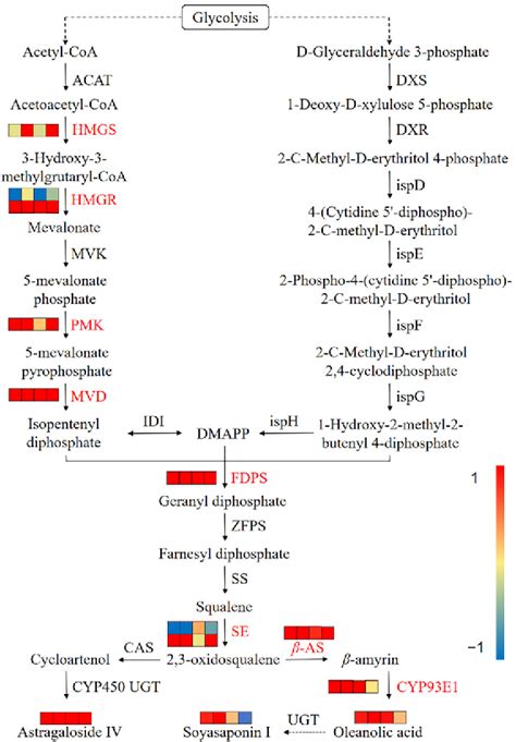 Figure 3 From Integrated Transcriptomics And Metabolomics Analysis Reveals The Effects Of