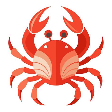 Premium Vector Crab Vector Illustration