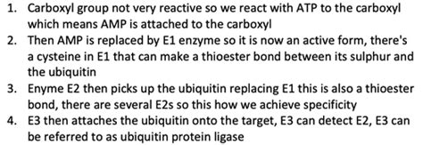 Lecture 5 Metabolism Flashcards Quizlet