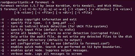 Learning By Practicing Forensics File Carving With Foremost And Dcfldd