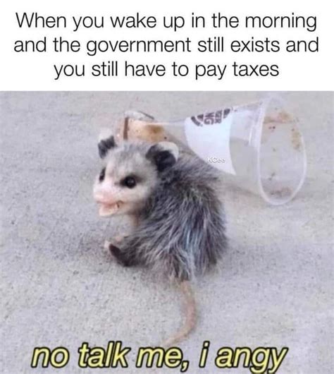 No Step On Snek Meme By Bobbojenkins Memedroid