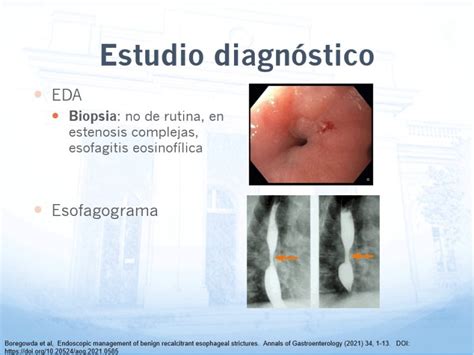 Presentaciones Depto Cirugía Hospital Del Salvador