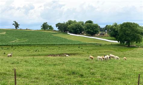 Mule Run Meats Mule Run Meats Added A New Photo