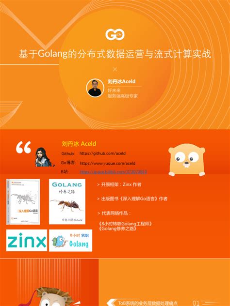 刘丹冰 基于golang的分布式运营与流式计算实战 pdf