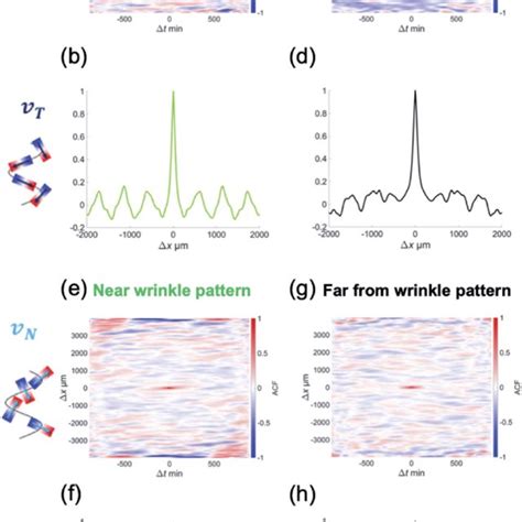 The Autocorrelation Function Of Velocity In The Tangential Direction