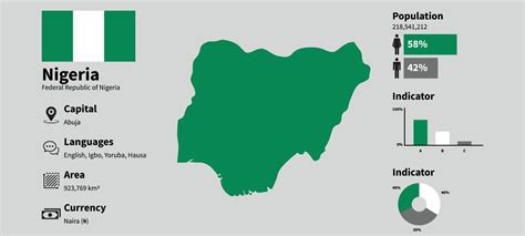 Nigeria Infographic Vector Illustration With Accurate Statistical Data