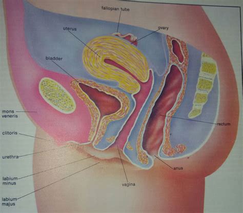 Best Sexologist Sexology Hospital Jaipur Sukh Sagar Hospital