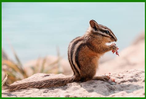 Factors Affecting Barcode Scanning Environmental Conditions