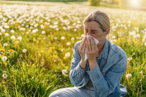 Springtime Survival Guide Managing Allergies And Bug Bites Liddell