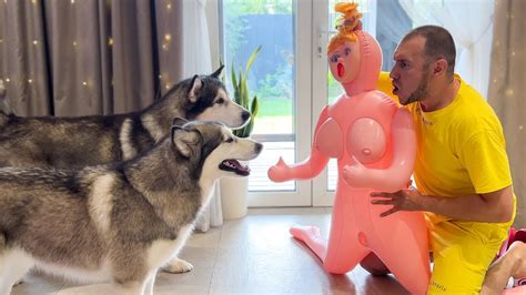 СОБАКА НАПАЛА НА СЕКС КУКЛУ Youtube