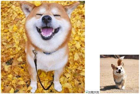 浅学html5andcss