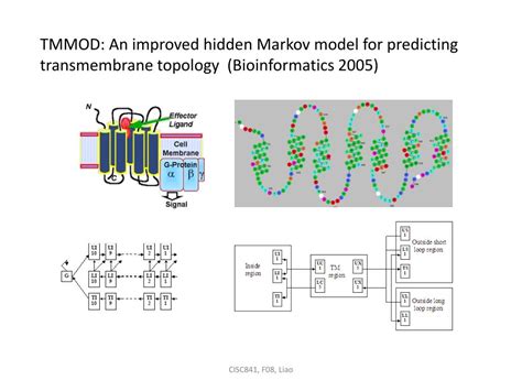 Ppt Cisc 841 Bioinformatics Fall 2008 Hidden Markov Models Powerpoint Presentation Id 6548762