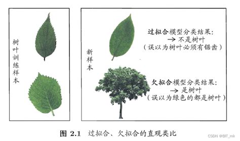 吃瓜教程 task01 csdn博客