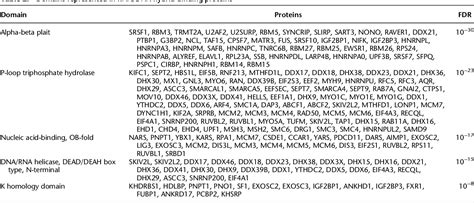 Table 2 From Human Proteins That Interact With Rna Dna Hybrids