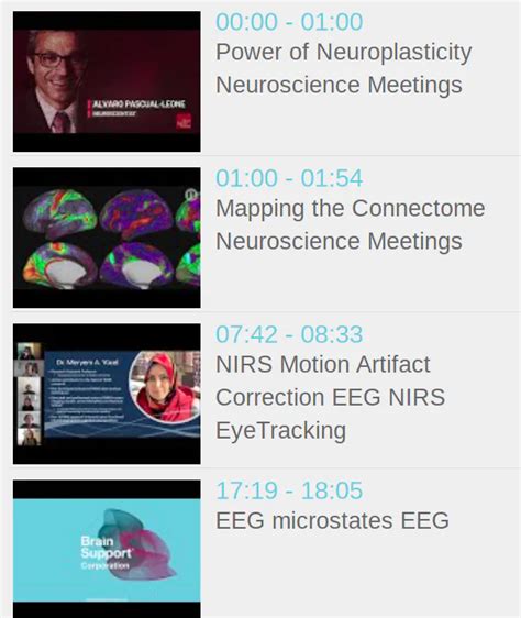 Mapping The Connectome Neuroplasticity In Aphasia The Aging Brain