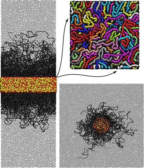 Snapshots Of Systems Showing Polymer Molecules In Contact With The Download Scientific