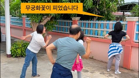 무궁화꽃이 피었습니다 놀이 시범 영상 เกมดอกกุหลาบชารอนบานแล้ว Youtube