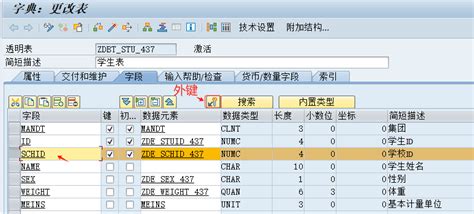 Sap Abap 数据字典外键关联abap 表外键 Csdn博客