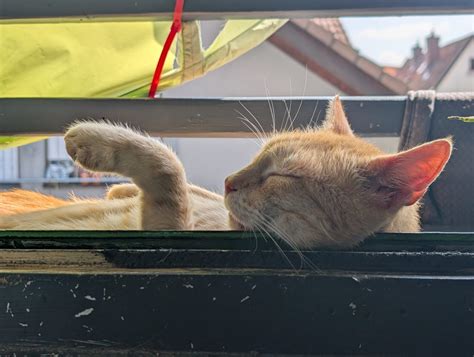 Silencing Jfrs Startup Message Mostly Nerdlessmostly Nerdless