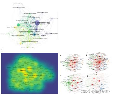 基于citespace和vosviewer文献计量学可视化sci论文高效写作方法 开启从小白到精通的基于文献计量学论文写作之旅 综述文章主题
