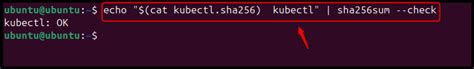 How To Install Kubectl On Ubuntu Its Linux FOSS