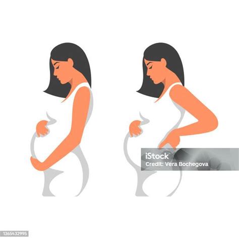 두 개의 서로 다른 위치에 있는 임산부는 복부를 지지하고 허리를 손으로 지지합니다 흰색 드레스를 입은 큰 임신 한 배를 가진 프로필의 젊은 여성 벡터 그림입니다 임신에 대한