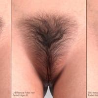 Li El Natural Pubic Hair For The Genesis 9 Female Anatomy Daz 3d