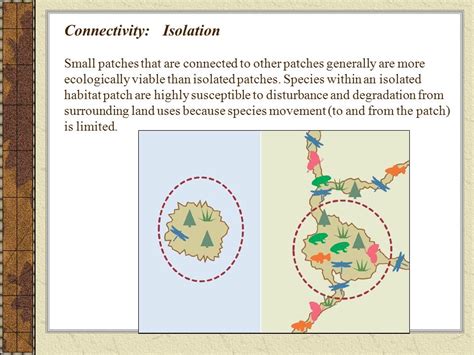 Conservation Biology And Restoration Ecology Ppt Download