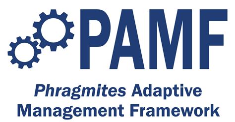 Phragmites Adaptive Management Framework Pamf Great Lakes Phragmites Collaborative