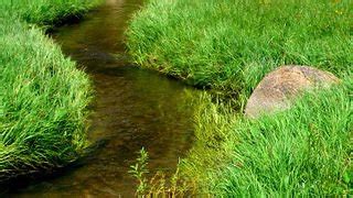 SCP 006 Wiki SCPF Foundation Amino