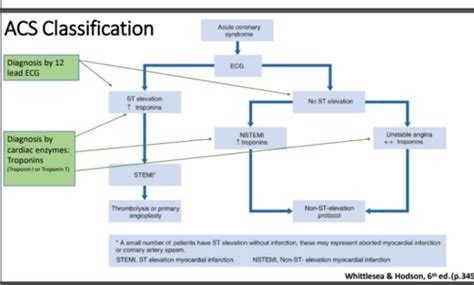 Acute Coronary Syndrome Acs Flashcards Quizlet