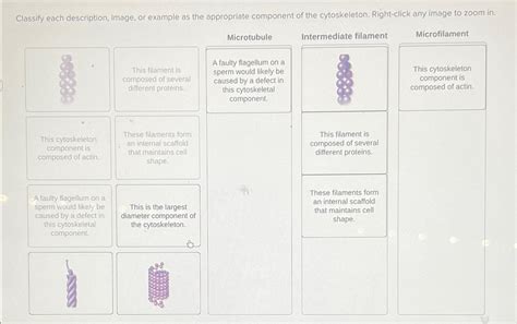 solved classify each description image or example as the
