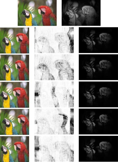 First Row Reference Image And Its Saliency Map Second To Last Rows