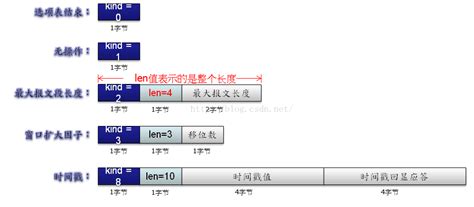 Tcp Ip详解:tcp的头部与选项tcp Option 28 Csdn博客 Tcp Ip详解:tcp的头部与选项tcp Option 28 Csdn博客