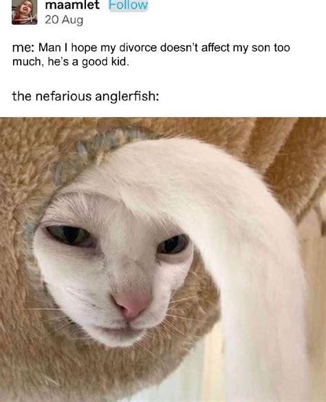 The Horror Of A Weird Critter And Divorce SCP 1305 R DankMemesFromSite19