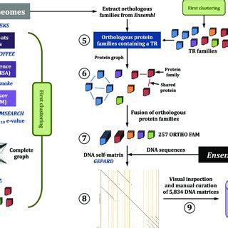 Pipeline Used For The Analysis Download Scientific Diagram