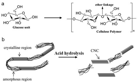 Advances In Functional Cellulose Hydrogels As Electrolytes For Flexible Zinc Ion Batteries