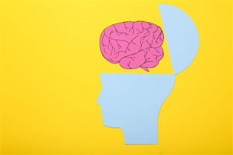 마음 정신 건강 개념 창의적 사고를여십시오 노란색 배경에 인간의 머리와 뇌의 종이 실루엣 0명에 대한 스톡 사진 및 기타 이미지